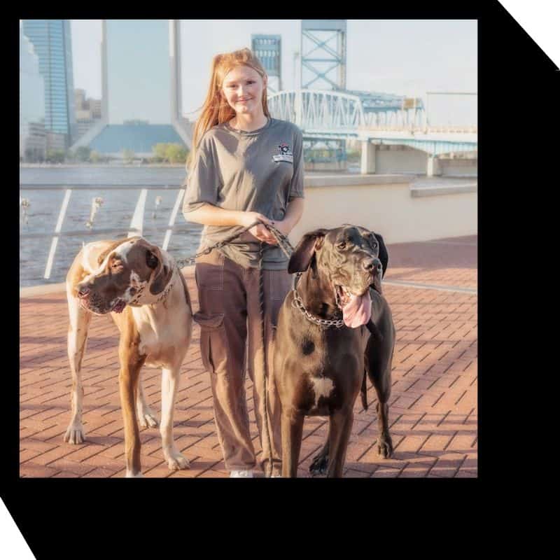 About - Bad to the Bone Pet Care