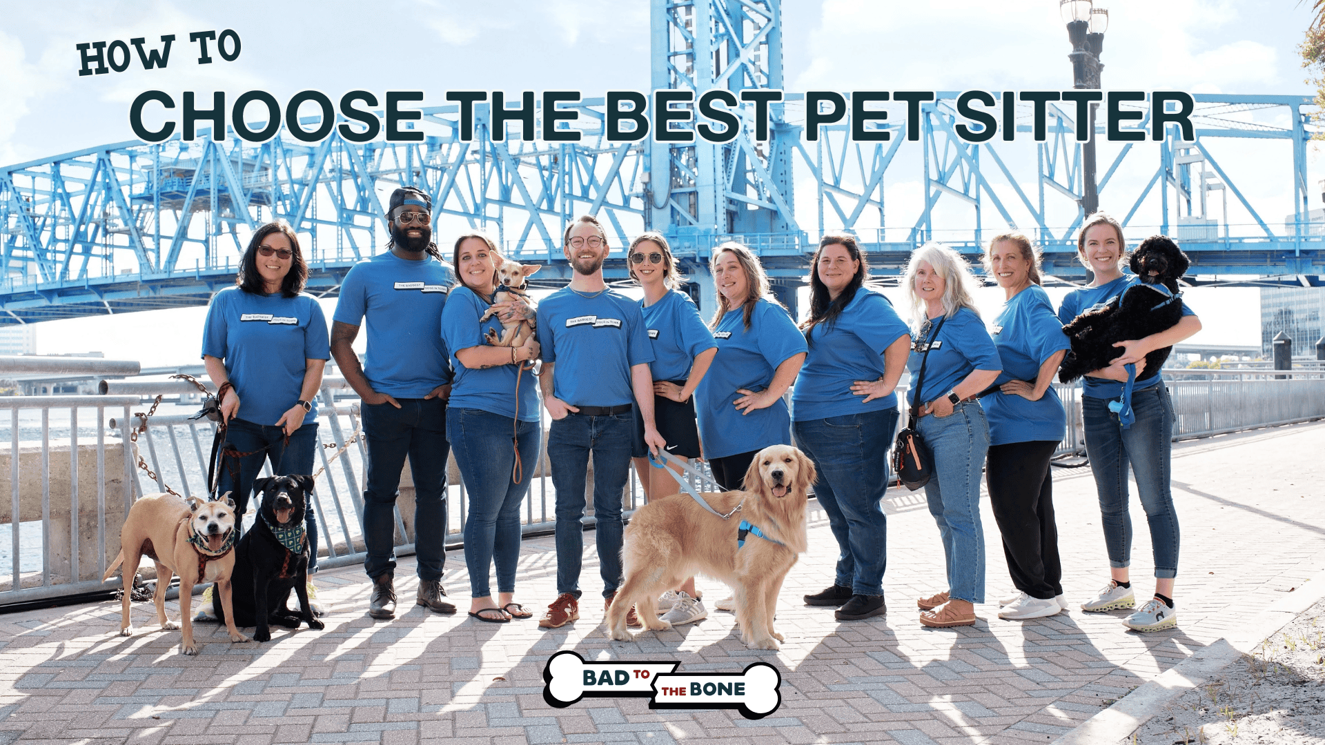 5 Tips for Choosing the BEST Pet Sitter - Bad to the Bone Pet Care